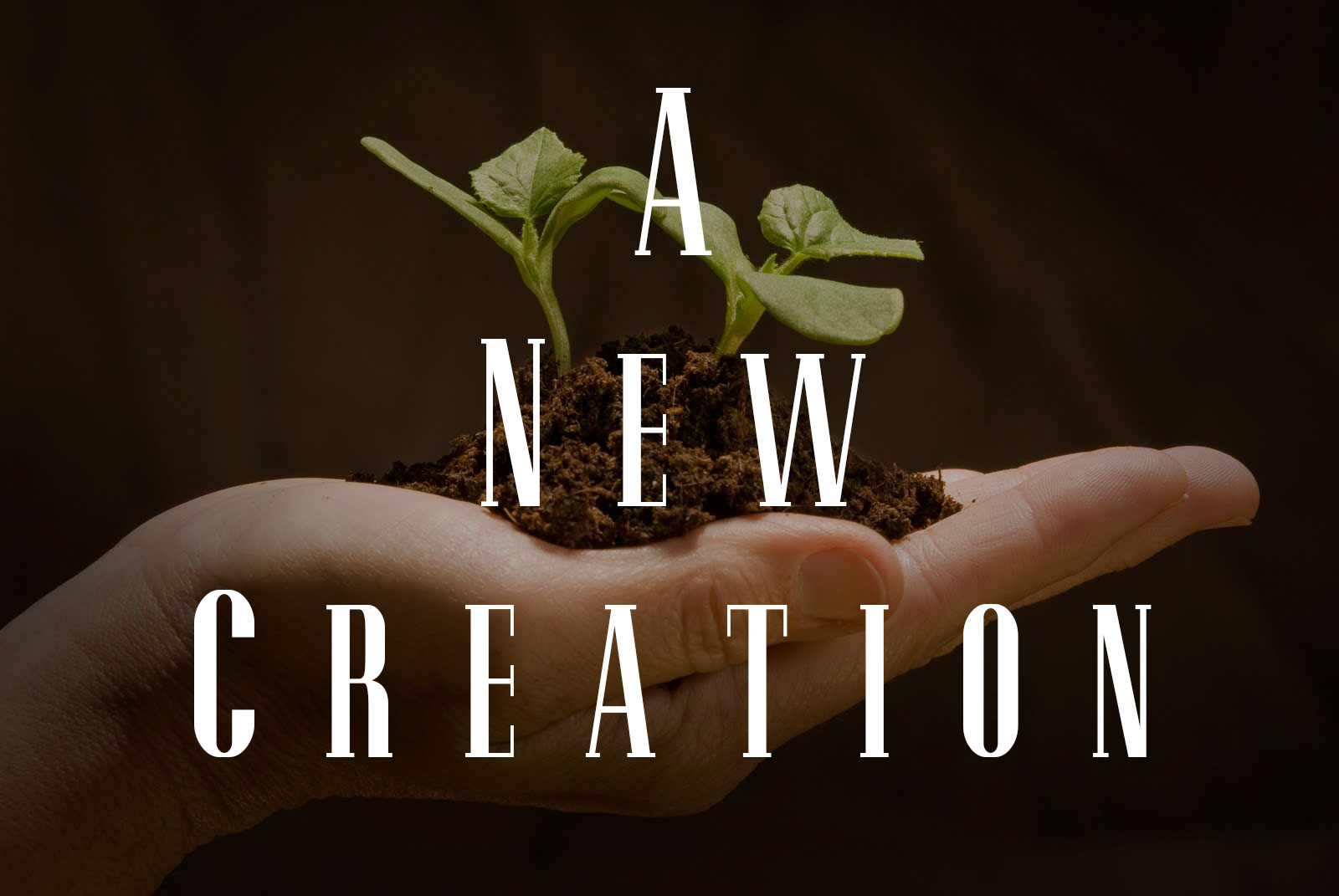 Tabernacles Central » Adam 2.0: Becoming A New Creation In Christ Jesus